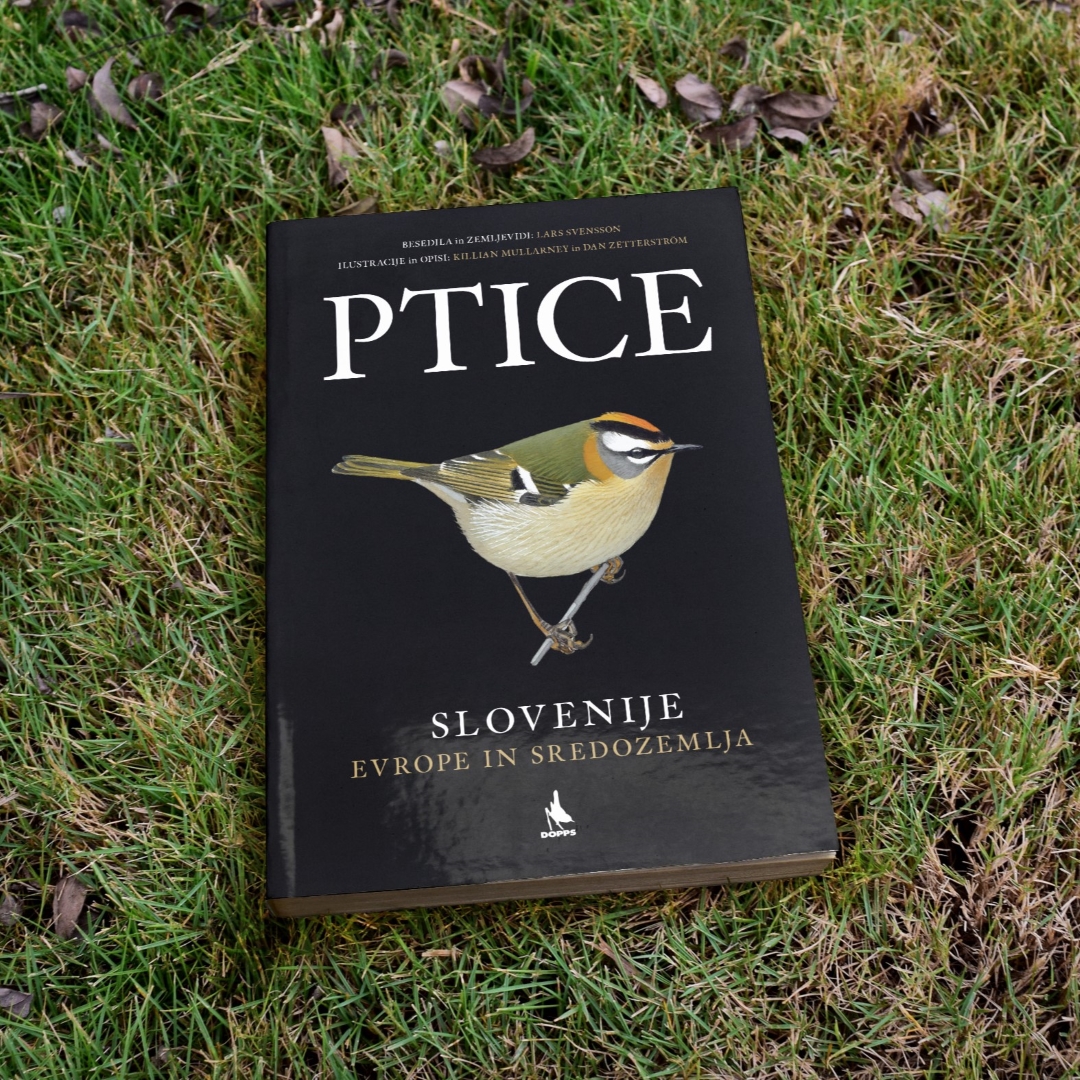 Predstavitev priročnika Ptice Slovenije, Evrope in Sredozemlja | DOPPS
